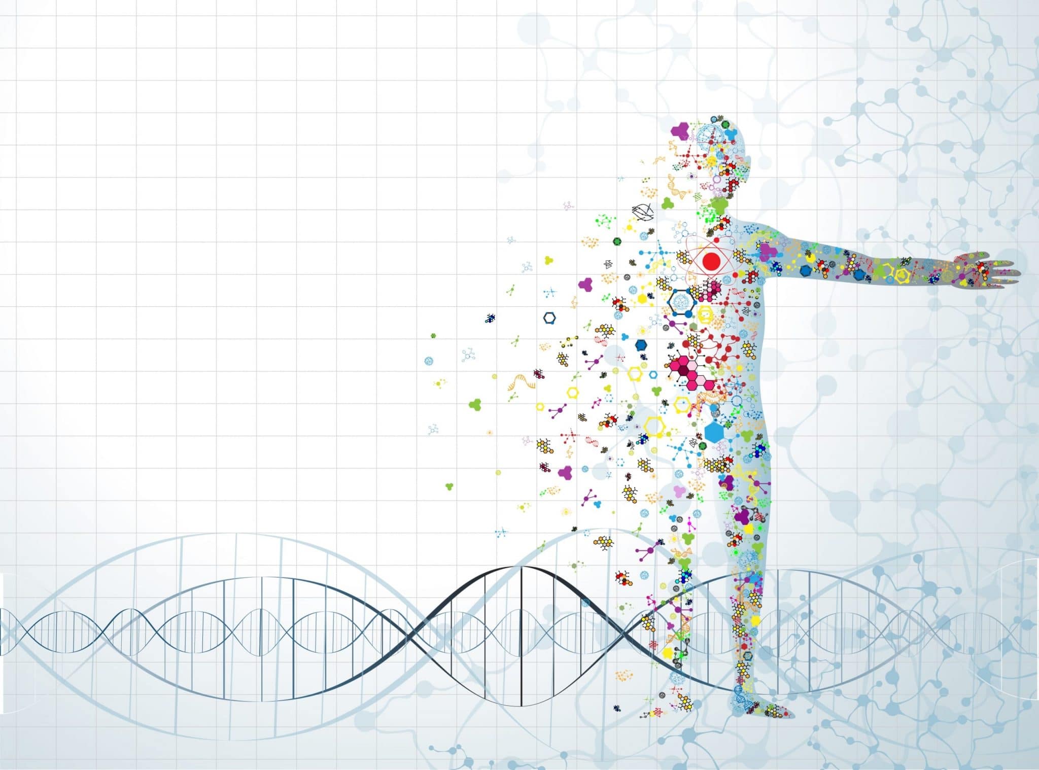 Perfectionnement sur le membre inférieur: Un tour d’horizon par Carole ...